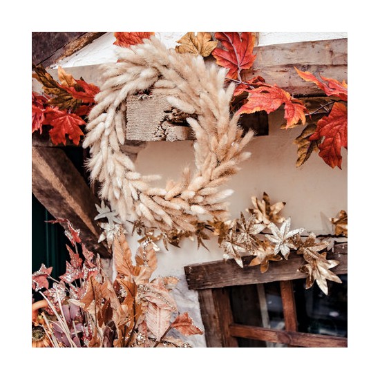 Couronne de plumeaux et Lagurus naturel - Happy Family